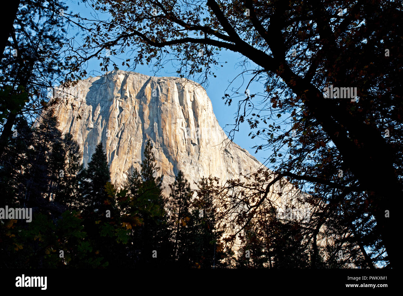 Large rocky mountain seen through a canopy of trees Stock Photo - Alamy