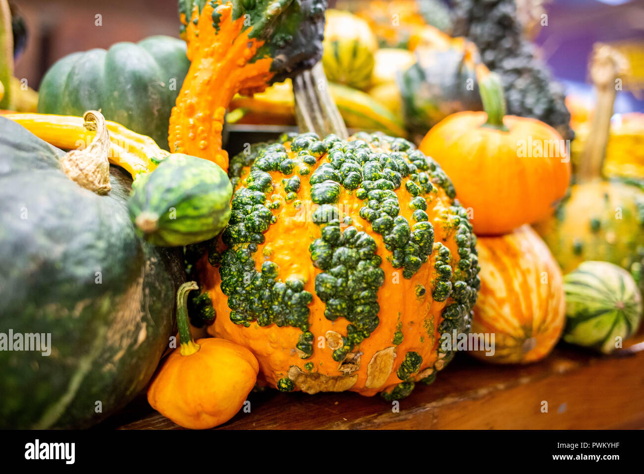 Usa thanksgiving gourd corn hi-res stock photography and images - Alamy