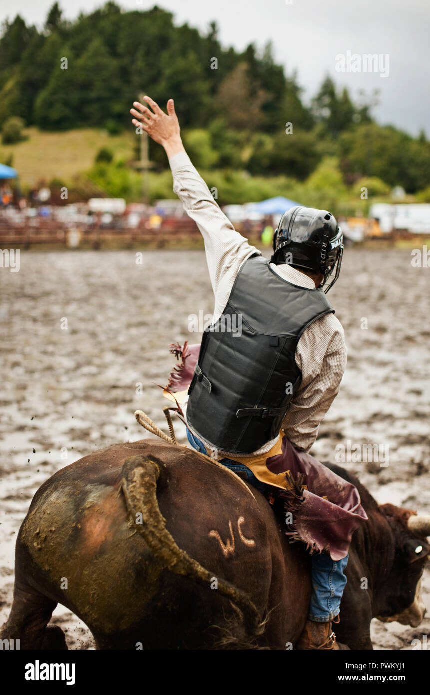 Cowboy riding bull in rodeo Stock Photo - Alamy