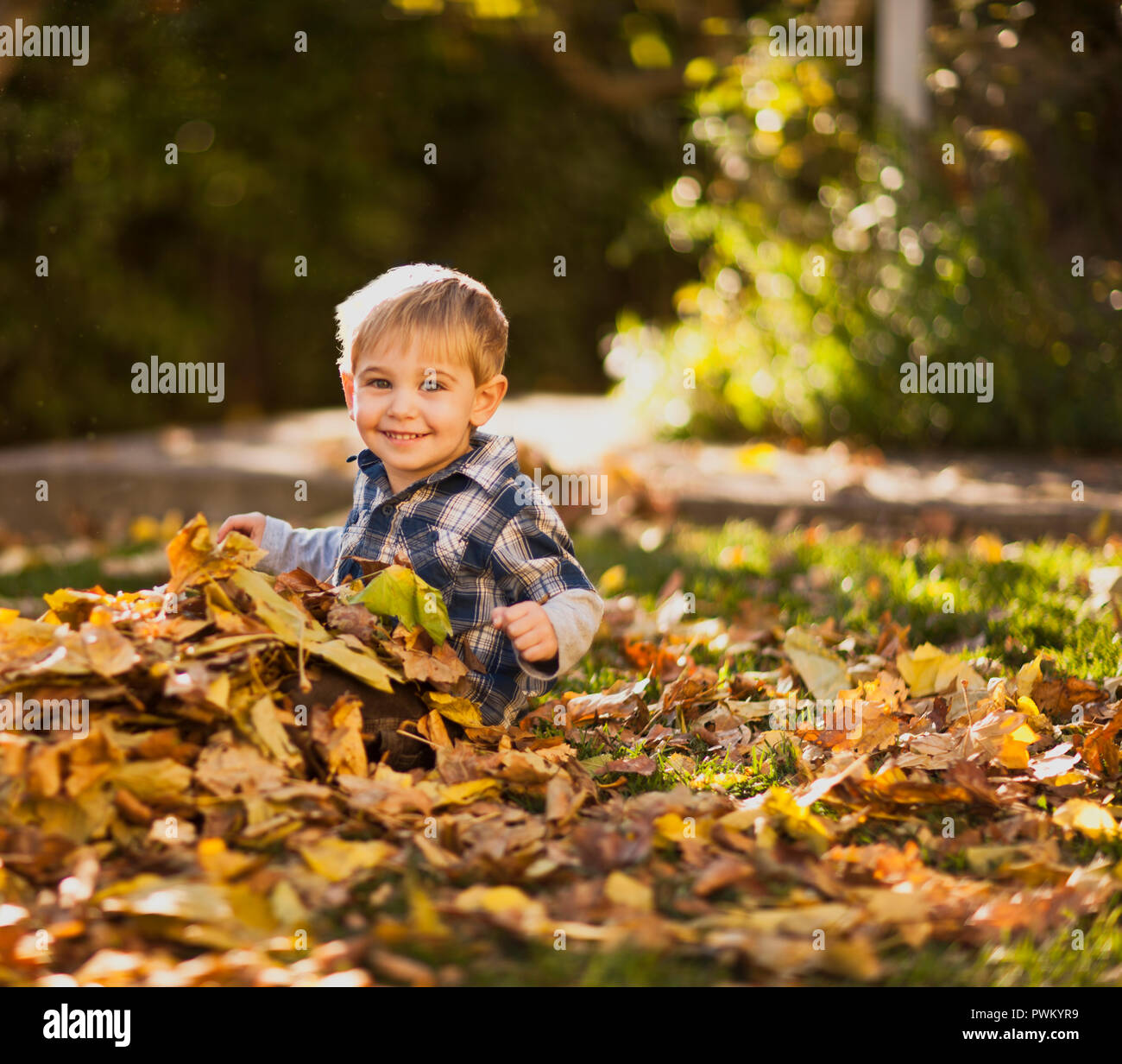 Little boy having fun sitting in a pile of leaves in the backyard Stock ...