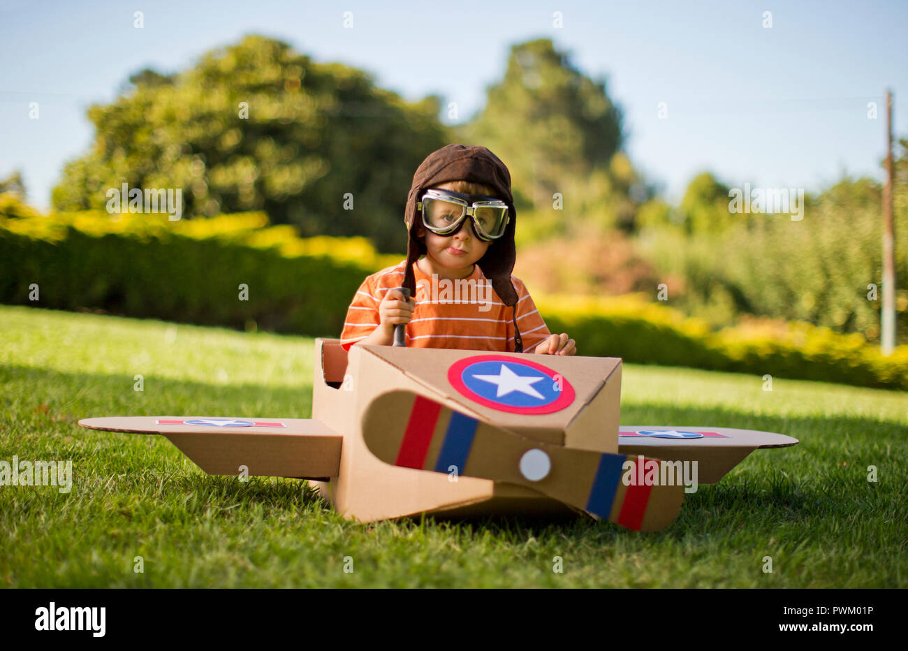 Home made cardboard plane in a sunny back yard Stock Photo - Alamy