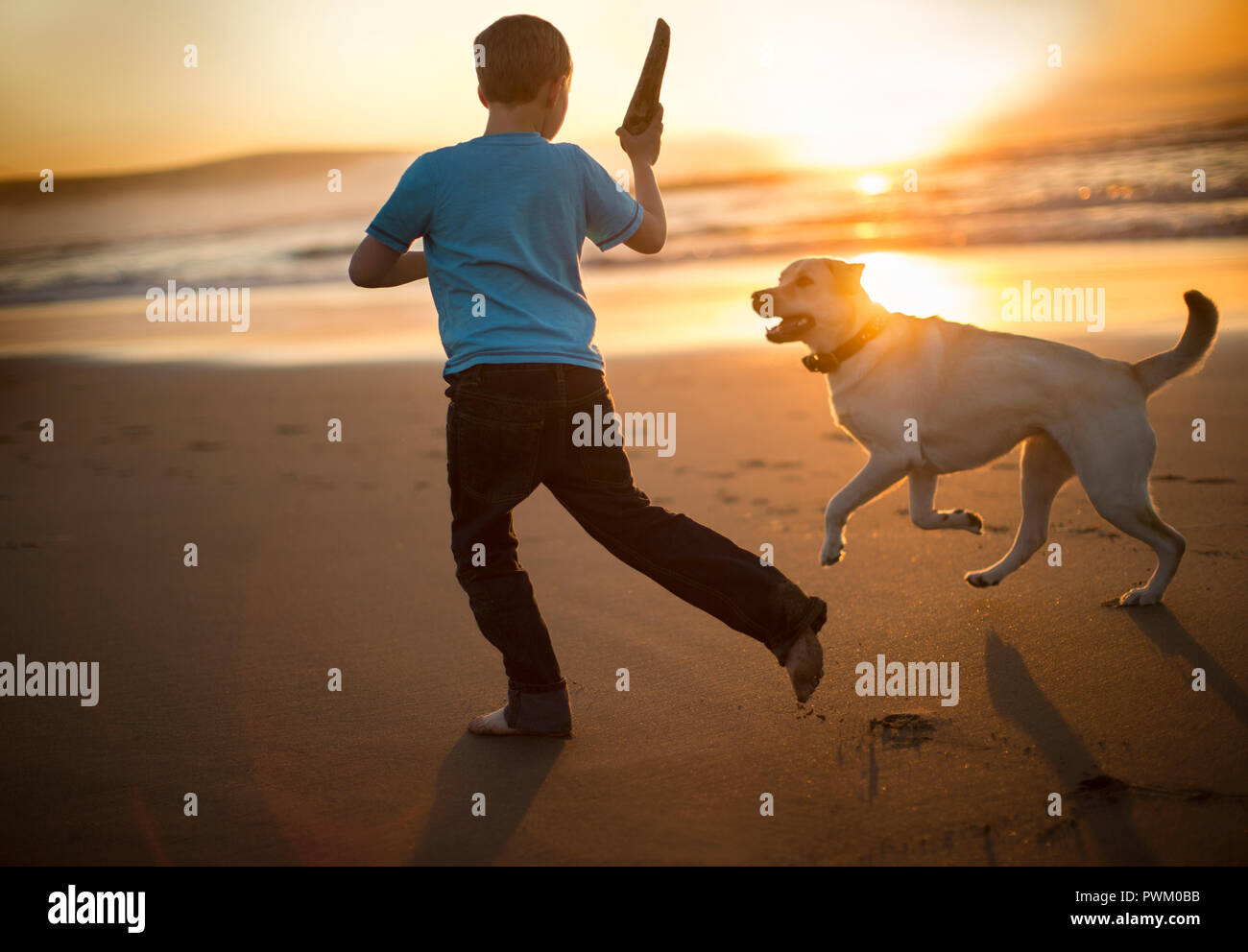 Young boy playing fetch with a dog on a beach Stock Photo - Alamy