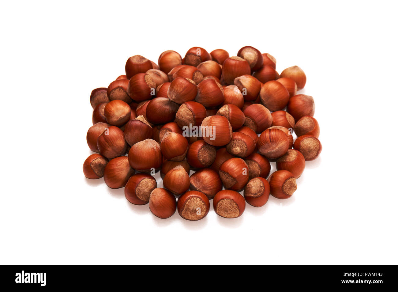 Hazelnut. Fresh organic filbert. Nuts macro. Food background Stock ...