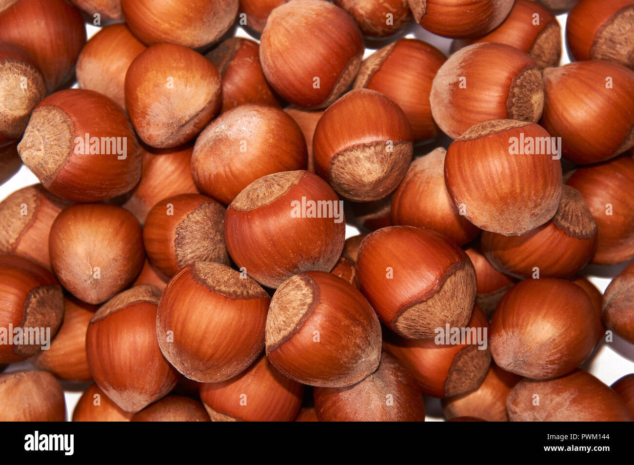 Hazelnut. Fresh organic filbert. Nuts macro. Food background Stock ...