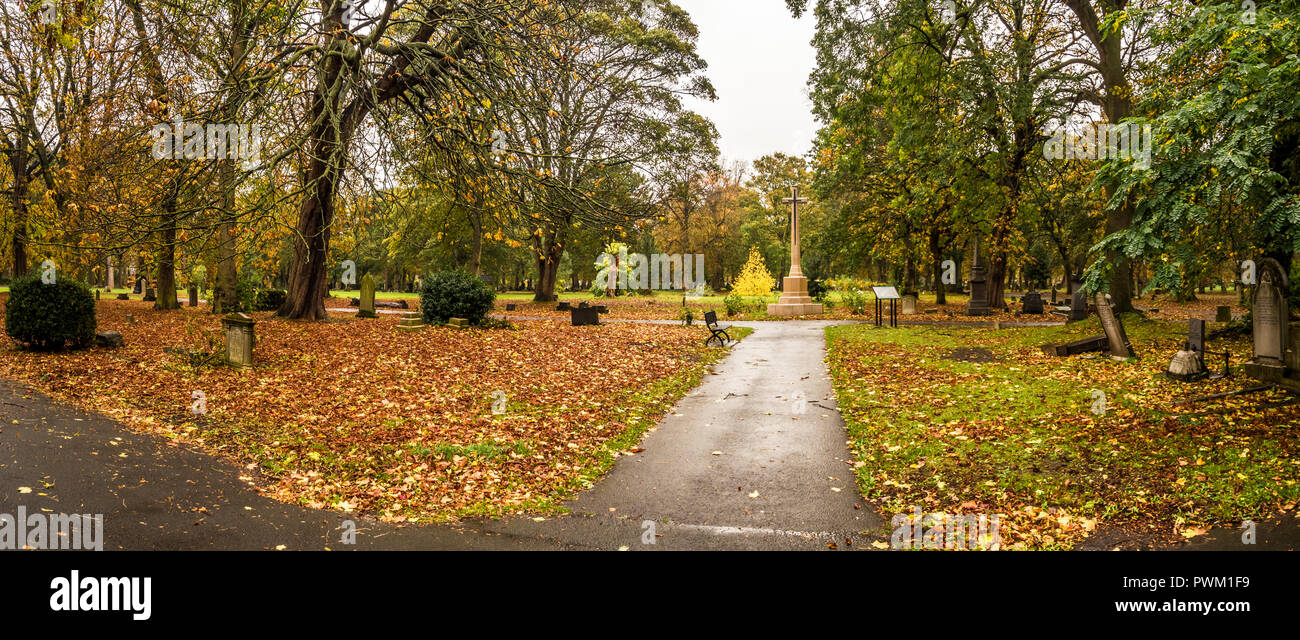 Linthorpe Cemetery High Resolution Stock Photography and Images - Alamy
