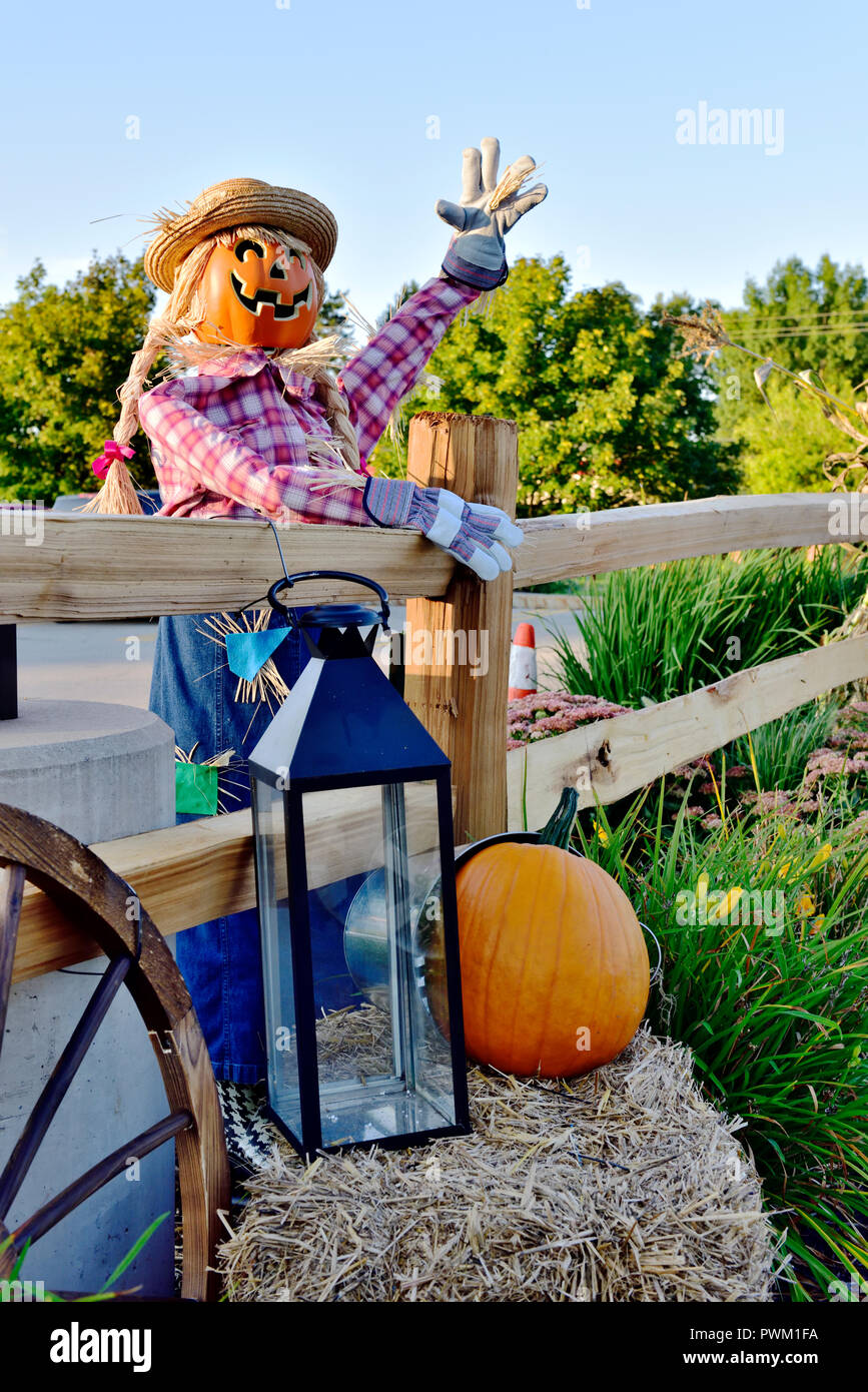 Fall scarecrow pumpkin display hi-res stock photography and images - Alamy