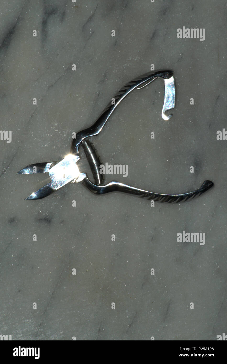 Stainless steel clippers Stock Photo - Alamy