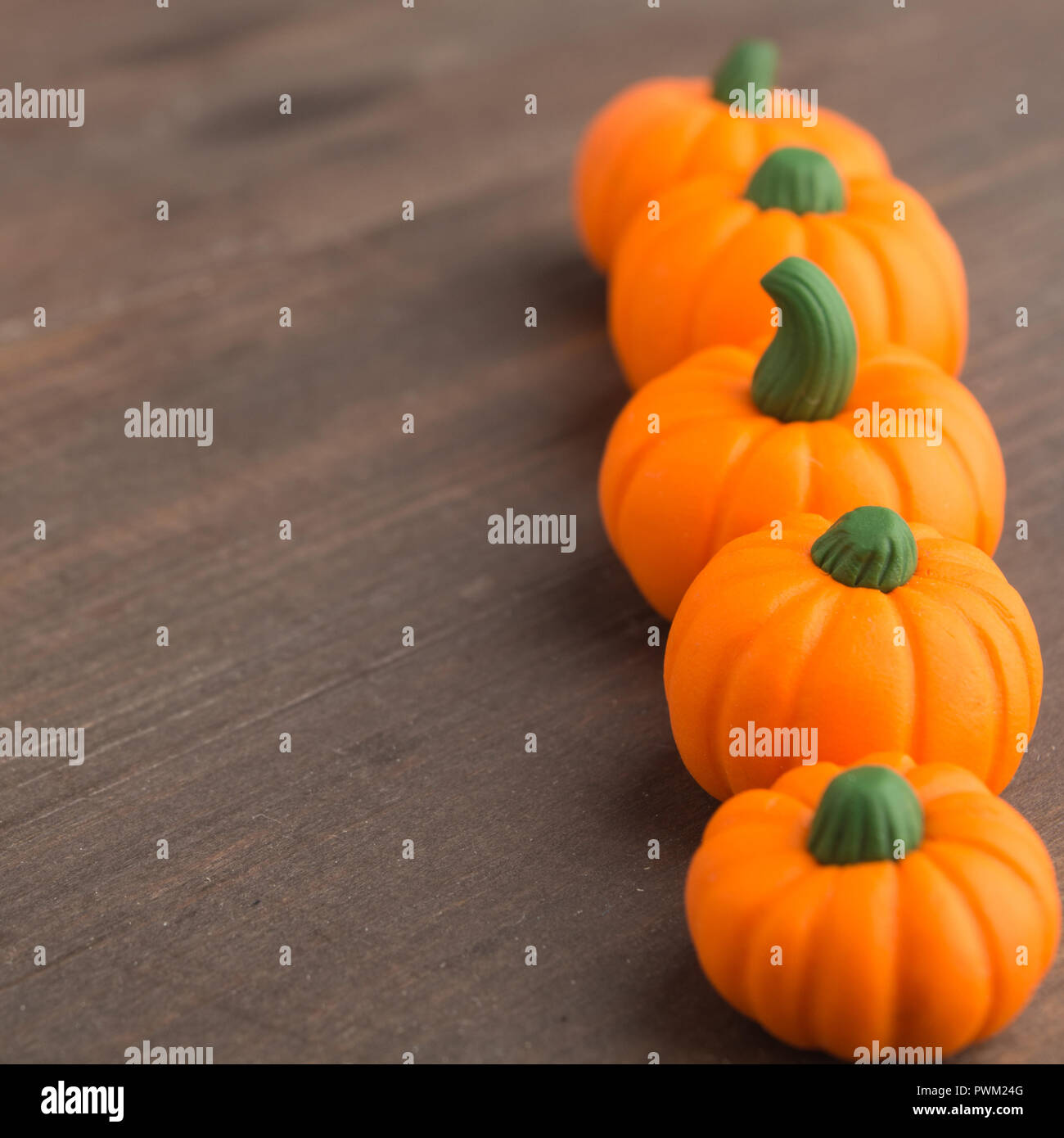 Line of pumpkins with perspective over wooden background, square shot ...