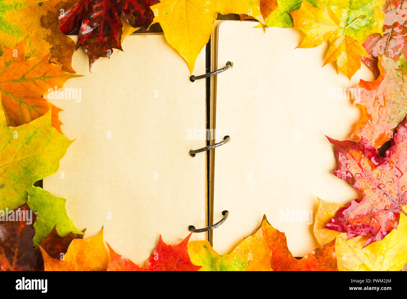 Message maple hi-res stock photography and images - Alamy