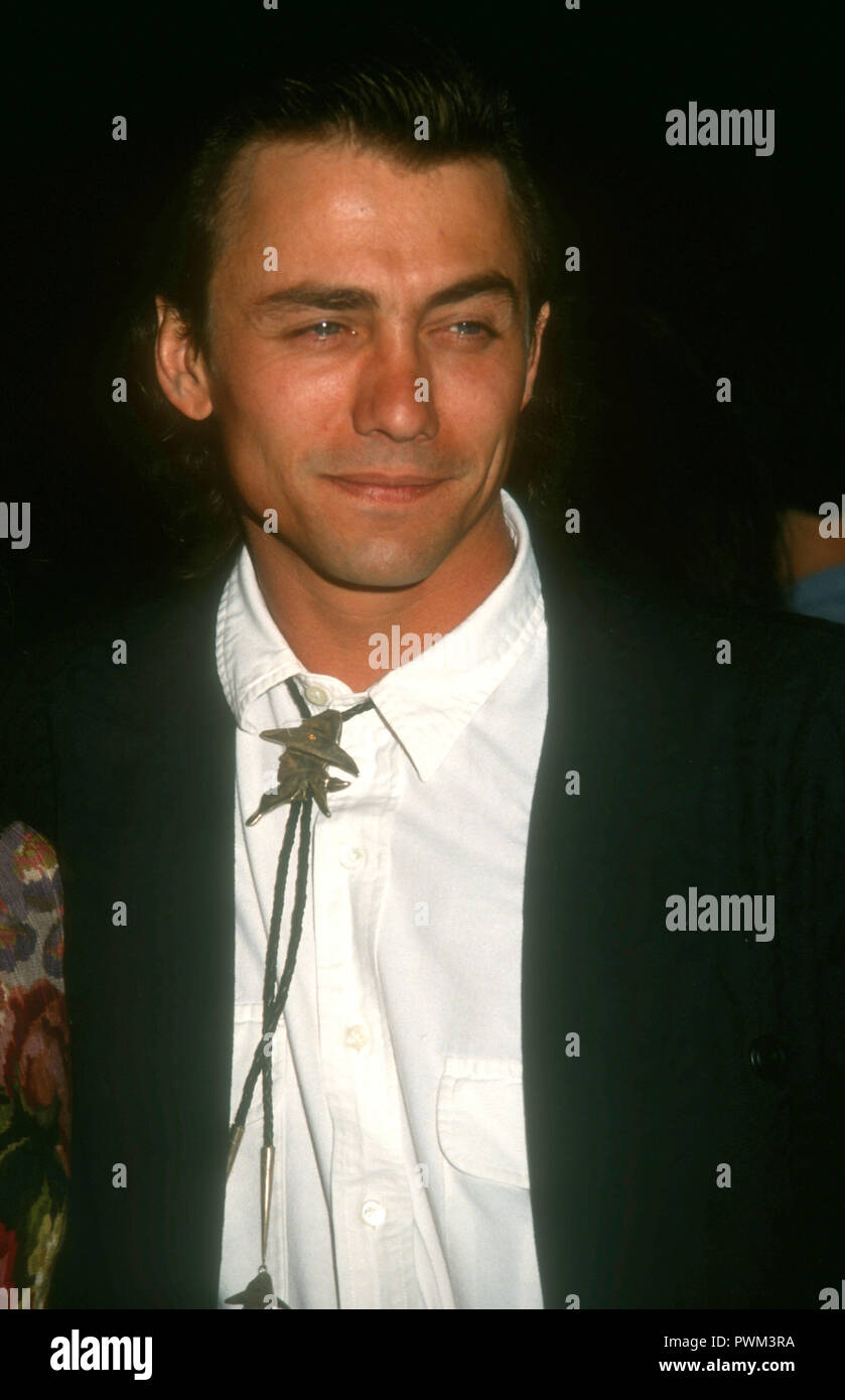 LOS ANGELES, CA - OCTOBER 19: Actor Alex McArthur attends 'Rampage' Premiere on October 19, 1992 ...