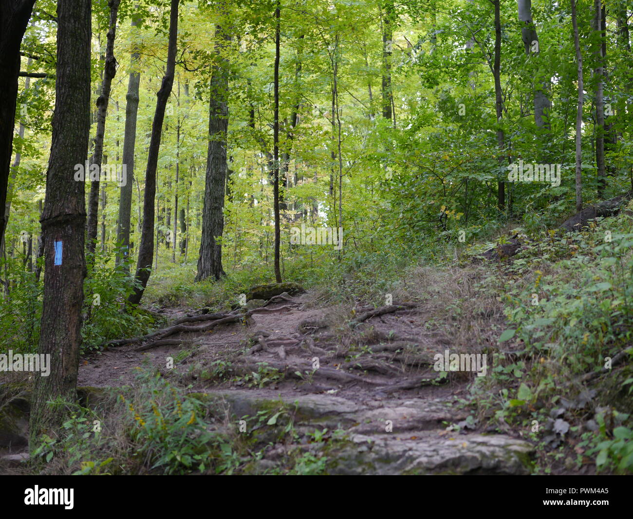 Hiking hazards hi-res stock photography and images - Alamy