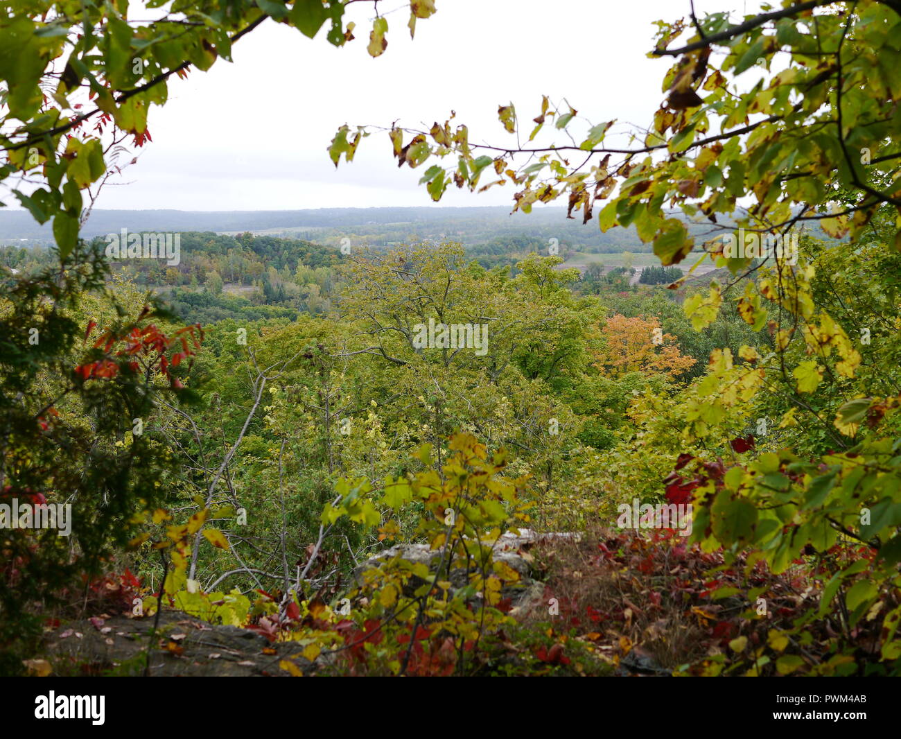 Fall foliage park trail hi-res stock photography and images - Alamy