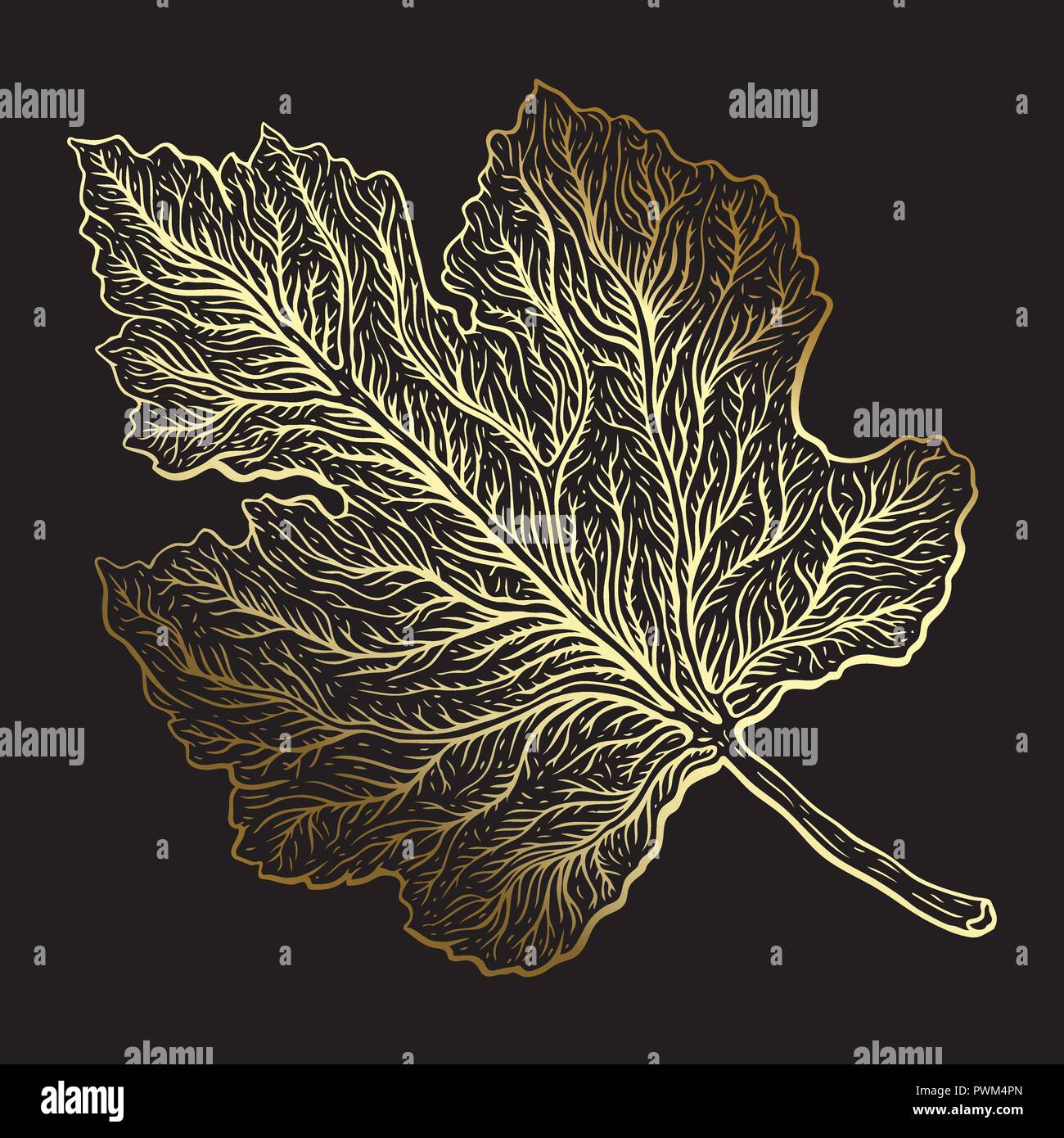 Beautiful detailed leaf. Botanical Hand drawn realistic Vector ...