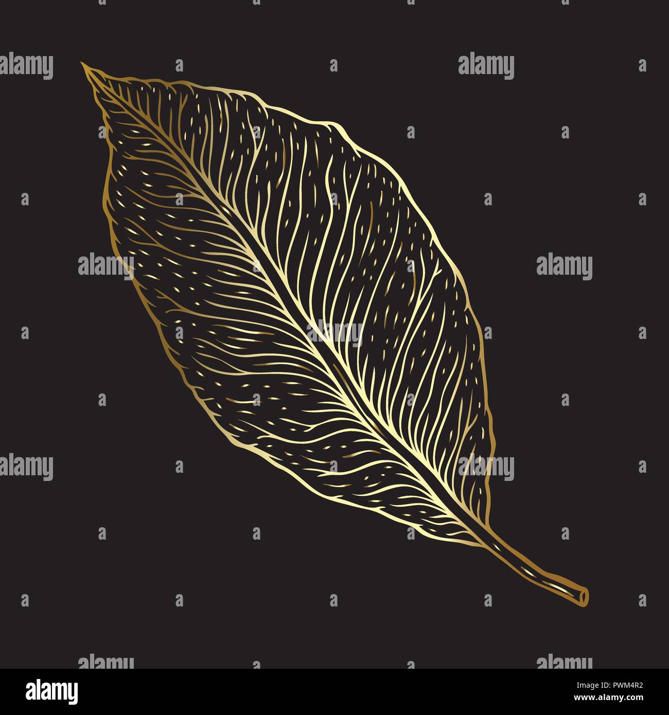Beautiful detailed leaf. Botanical Hand drawn Vector Outline leaves ...
