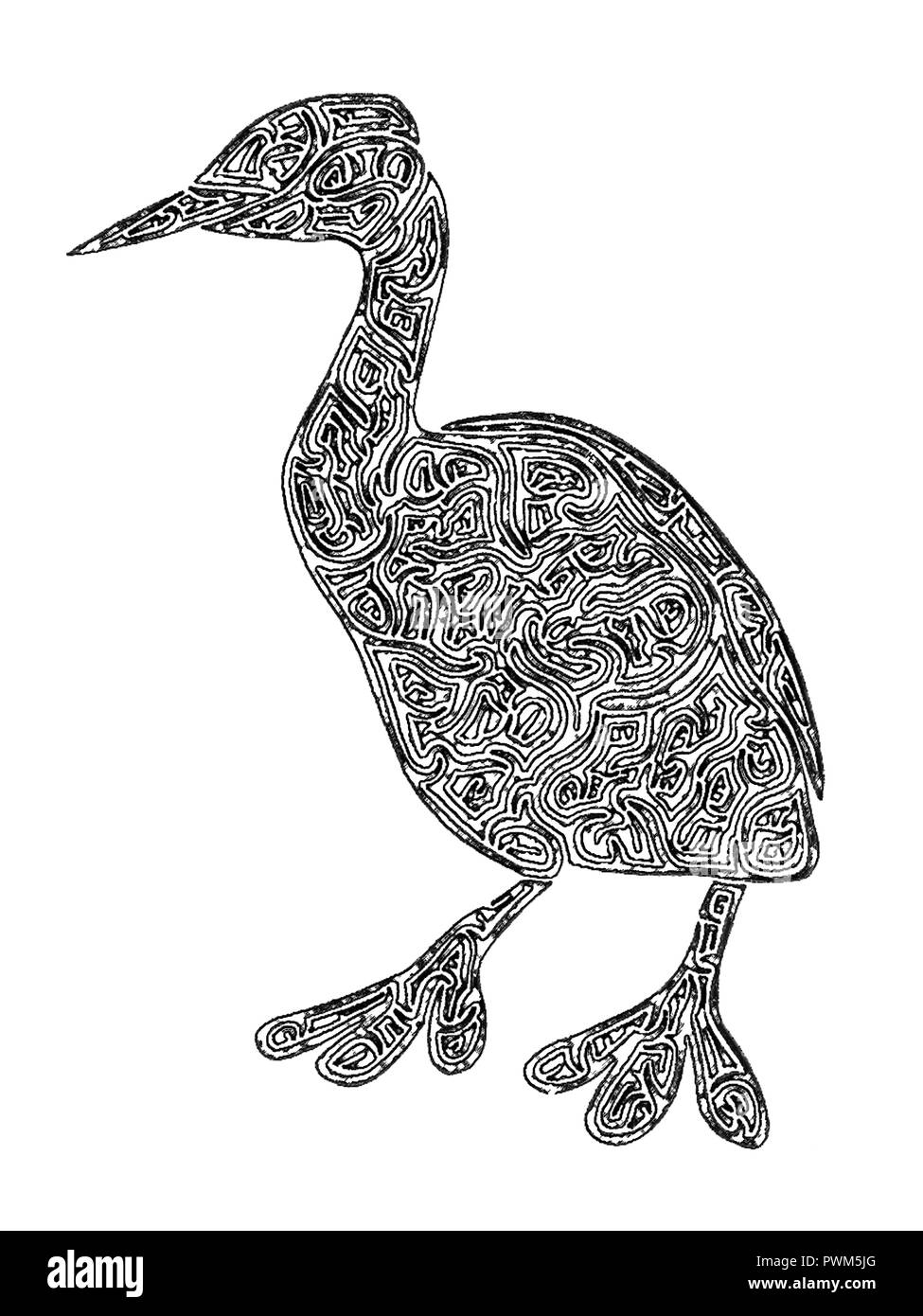 Grebe Detail Black and White Stock Photos & Images - Alamy