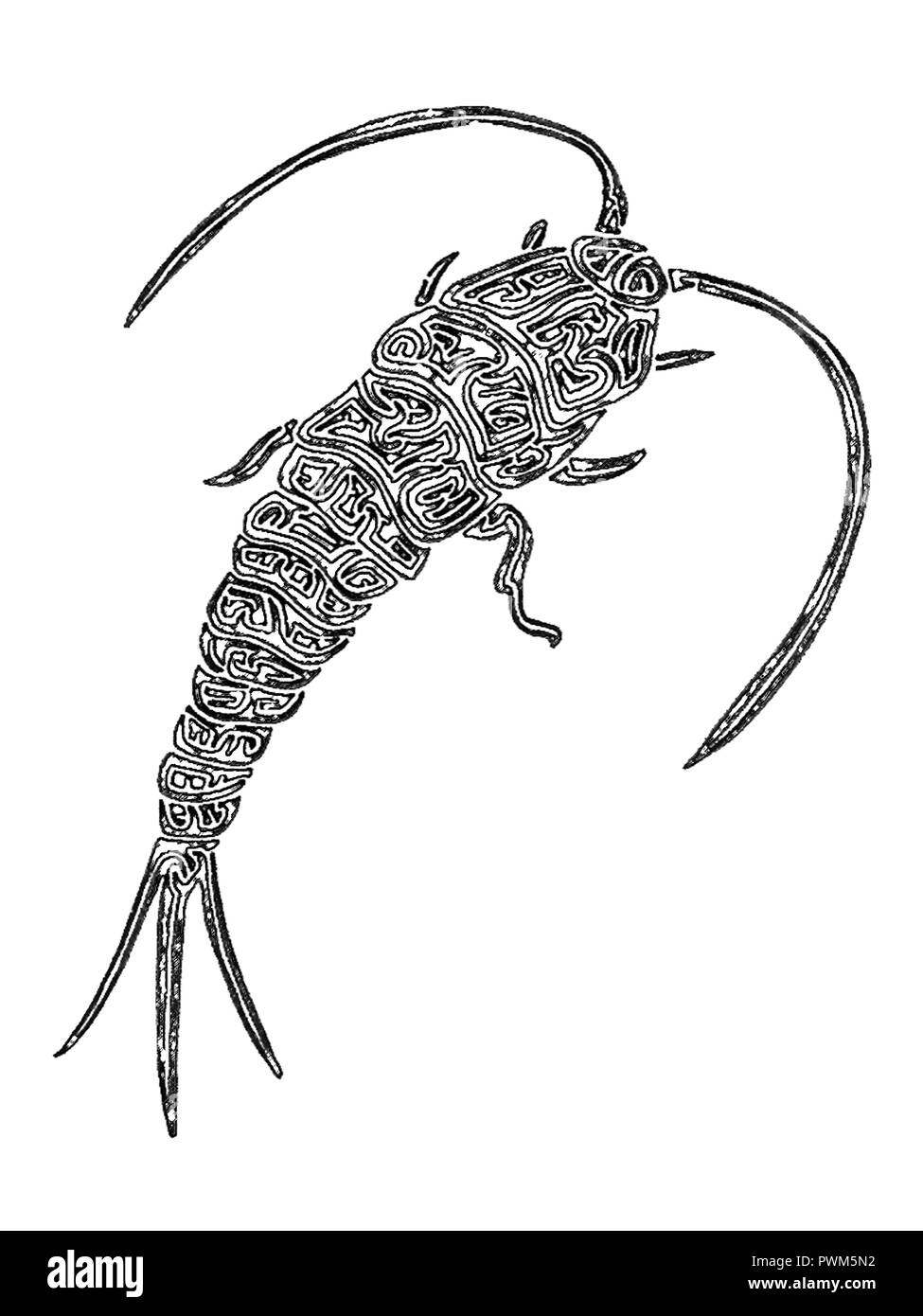 Illustration House Black Line Drawing High Resolution Stock Photography ...