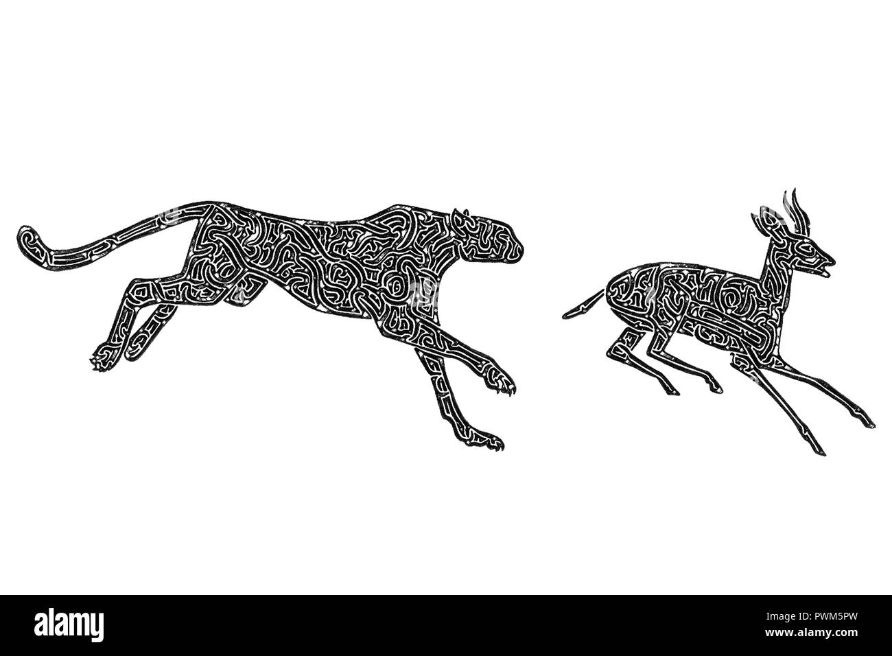 Silhouette Of Cheetah High Resolution Stock Photography and Images - Alamy