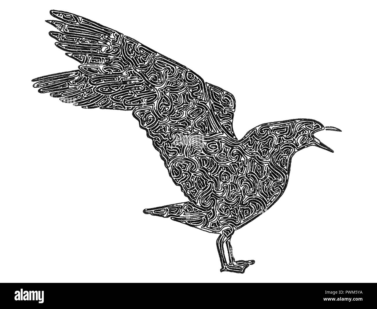 How To Draw Seagull High Resolution Stock Photography and Images - Alamy