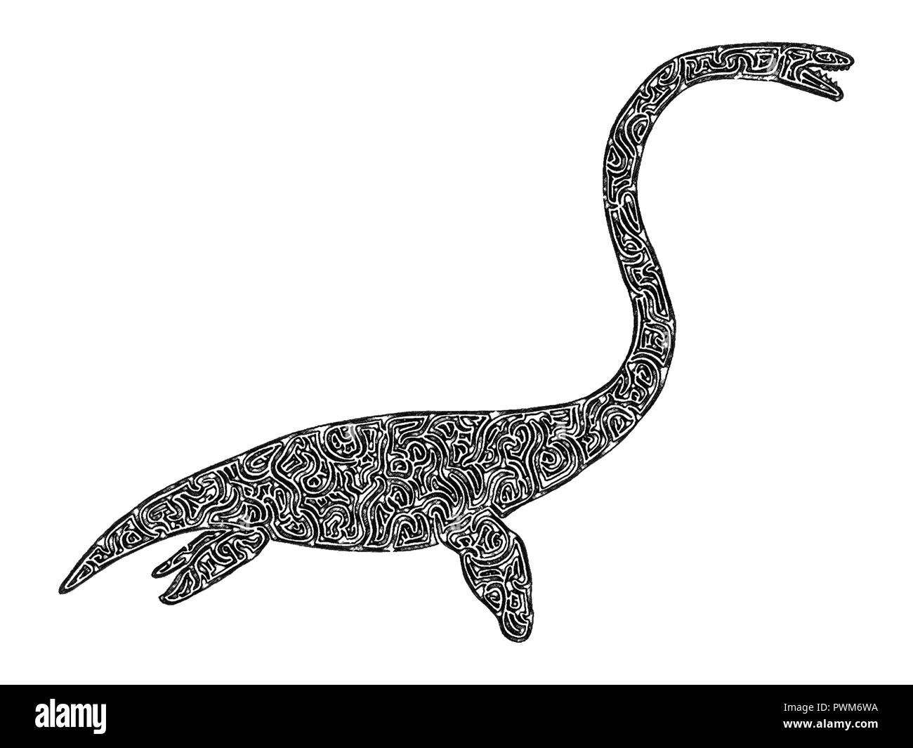 Plesiosaurus High Resolution Stock Photography and Images - Alamy