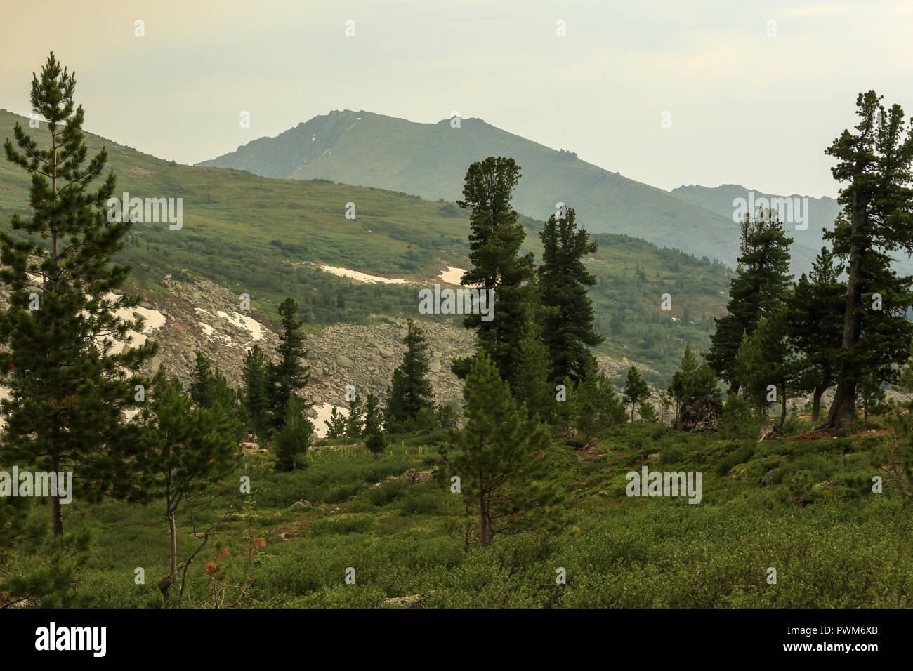 Array sleeping sayan hi-res stock photography and images - Alamy