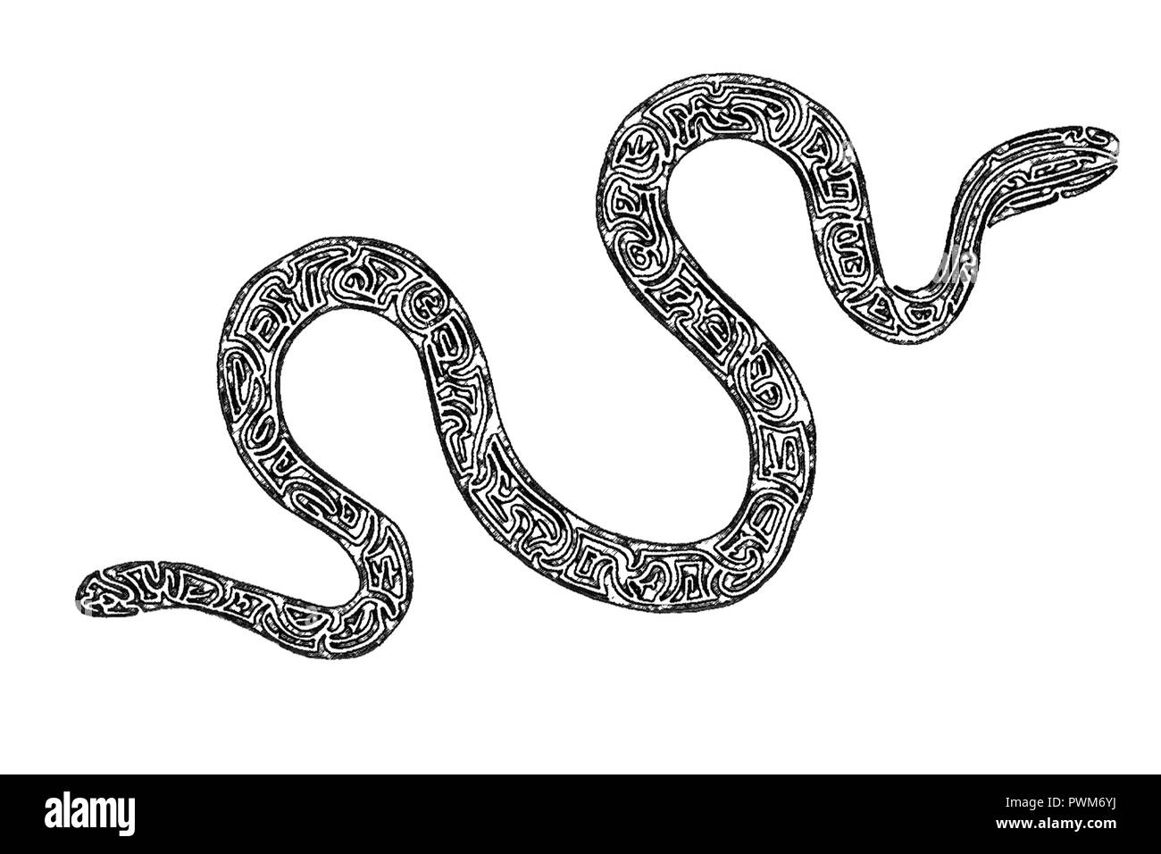 Snake Silhouette High Resolution Stock Photography and Images - Alamy
