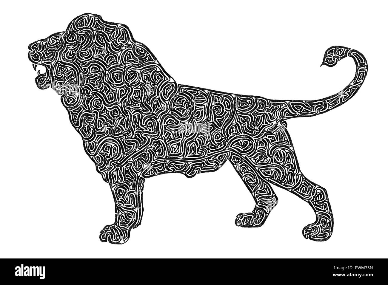 Lion Line Drawing High Resolution Stock Photography and Images - Alamy