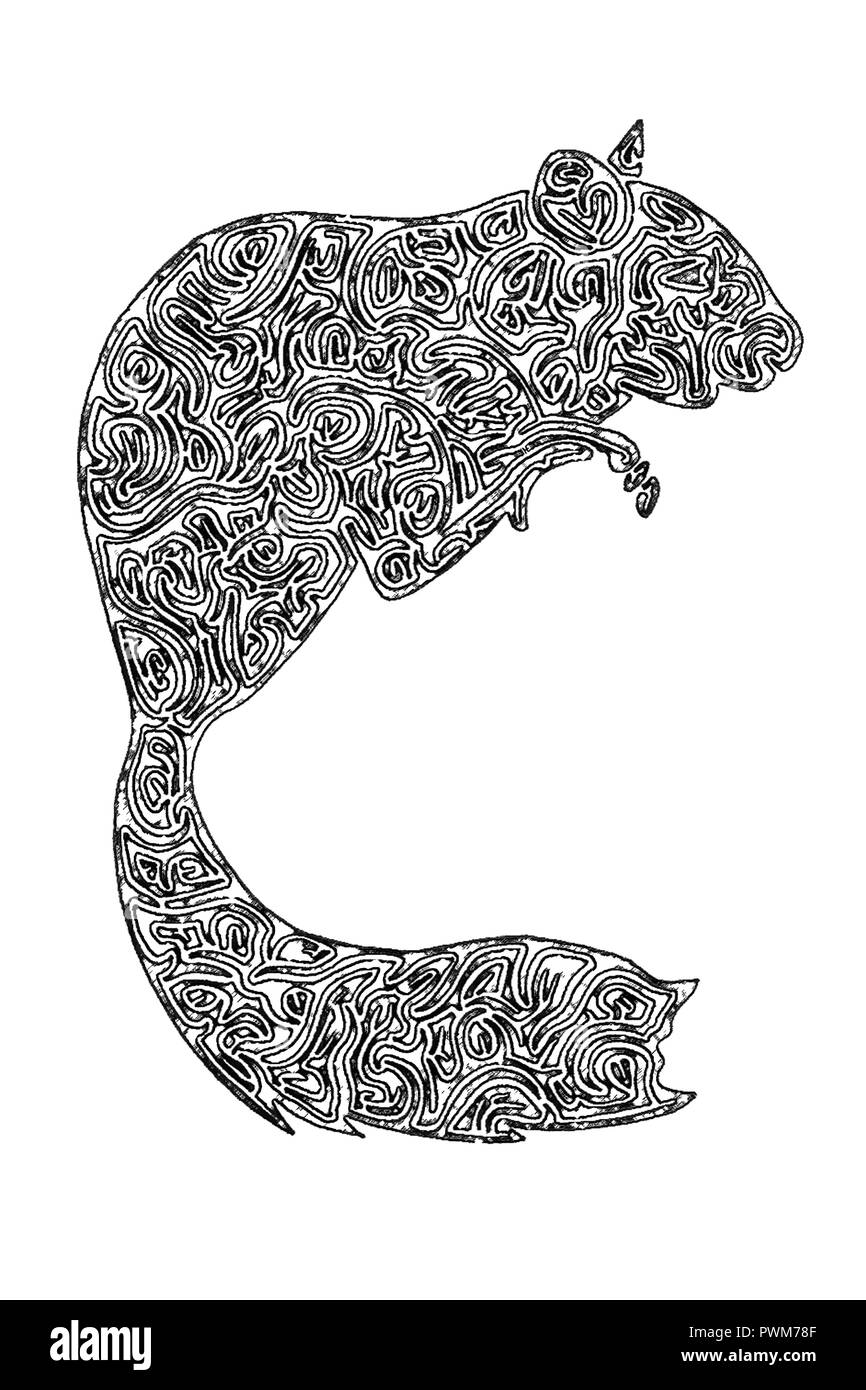 Forest Dormouse High Resolution Stock Photography and Images - Alamy