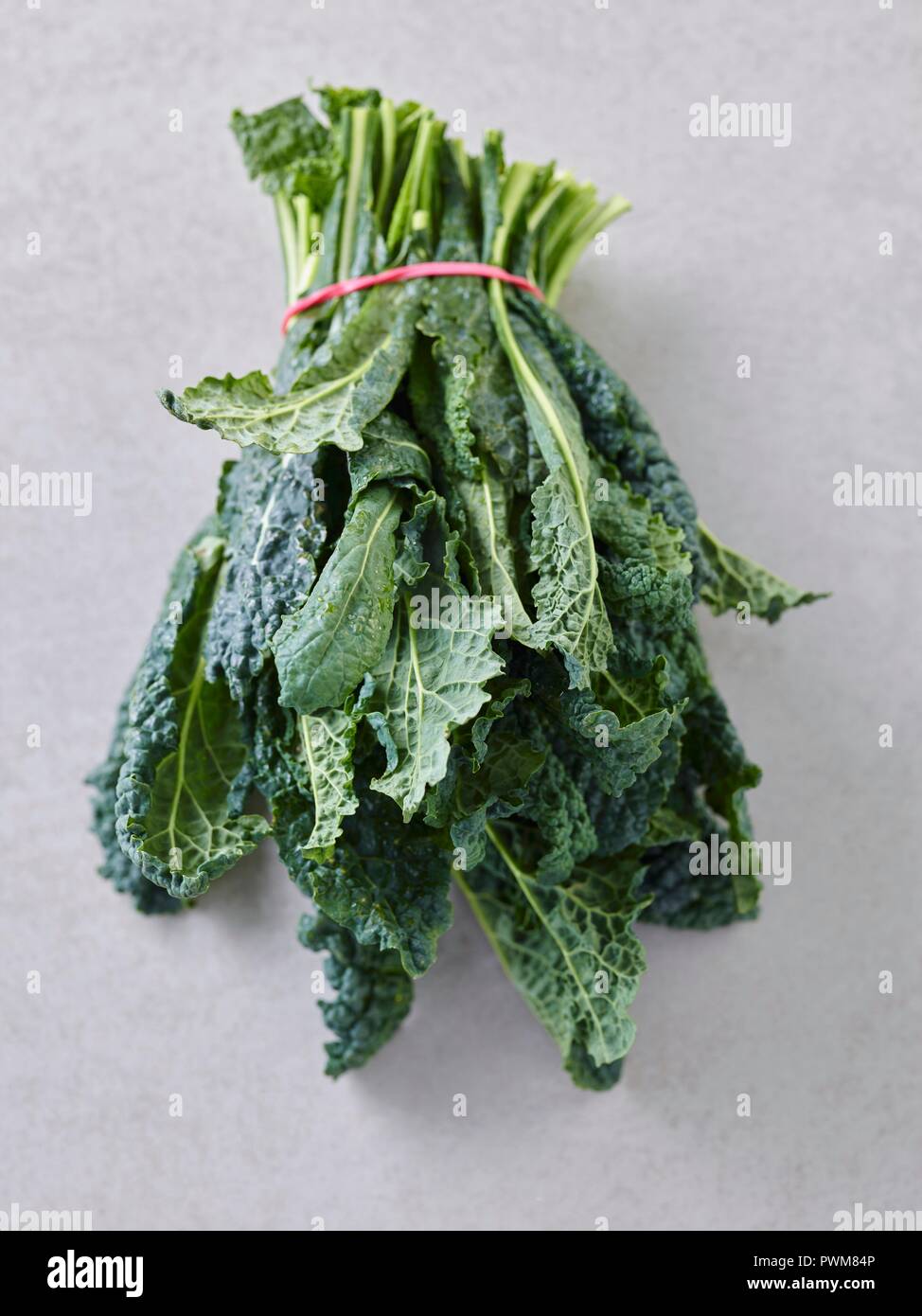 Bundled leaf hi-res stock photography and images - Alamy