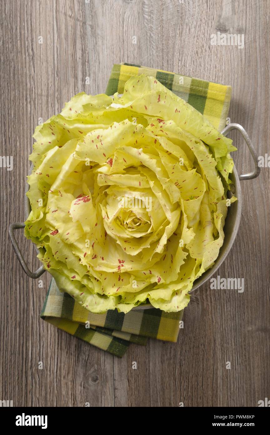 Radicchio varieties hi-res stock photography and images - Alamy