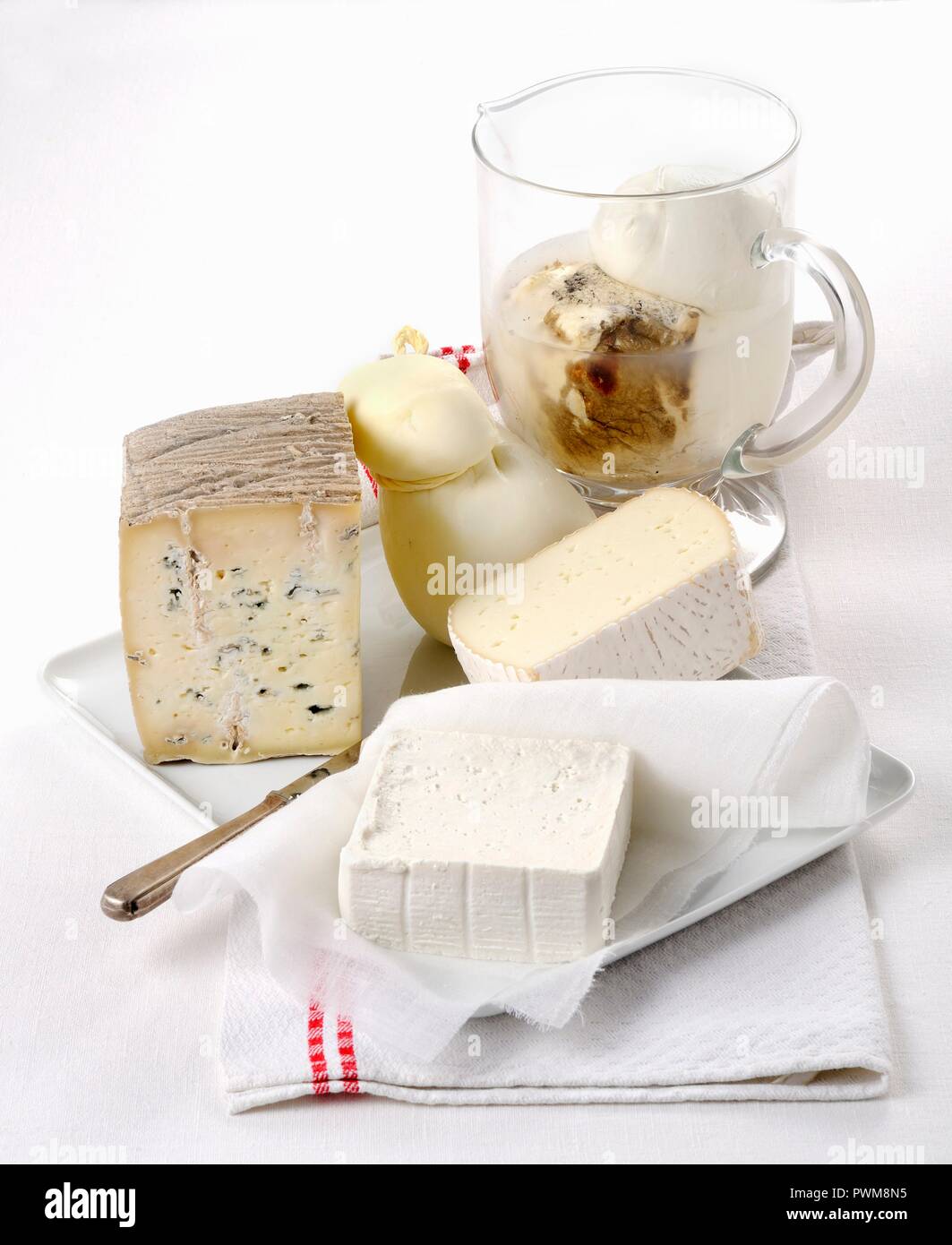 Various types of buffalo milk cheese Stock Photo - Alamy
