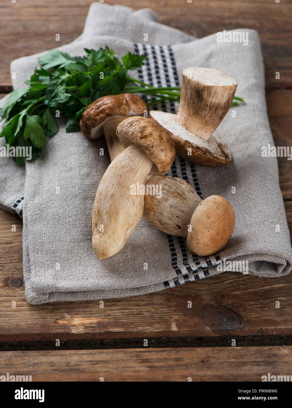Porcini mushrooms hi-res stock photography and images - Alamy