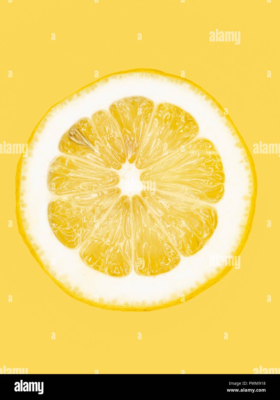 Cross section photos hi-res stock photography and images - Alamy