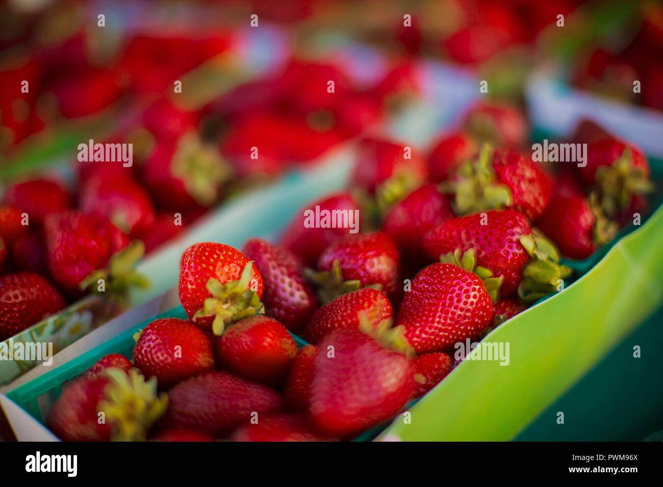 Strawberries in paper punnets Stock Photo - Alamy