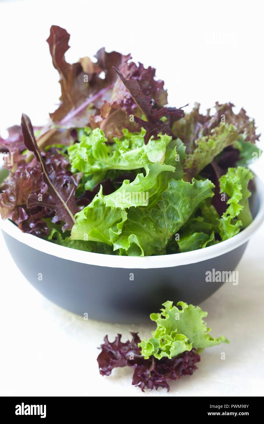 Mixed lettuce varieties hi-res stock photography and images - Alamy