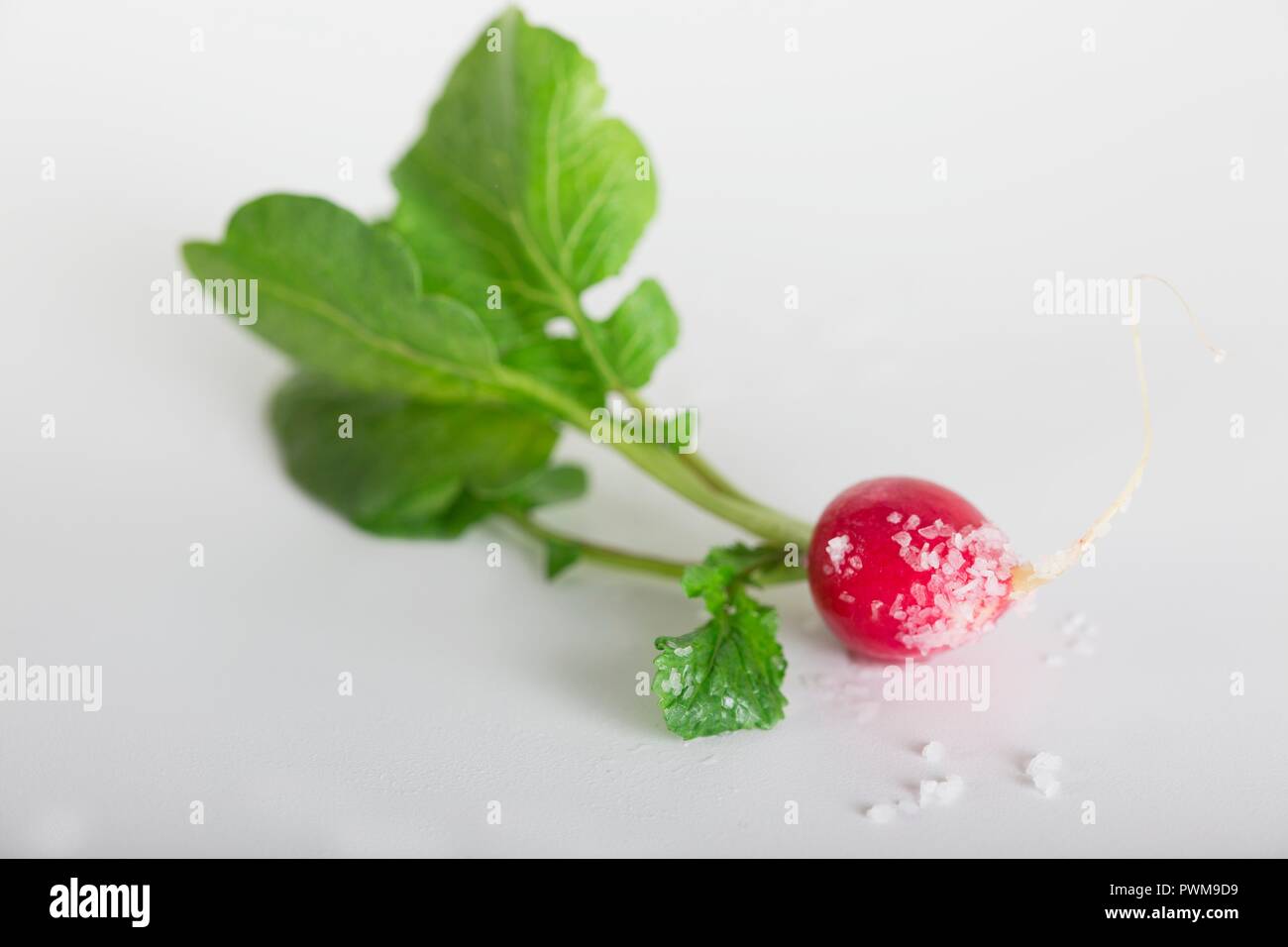 A radish with sea salt Stock Photo - Alamy