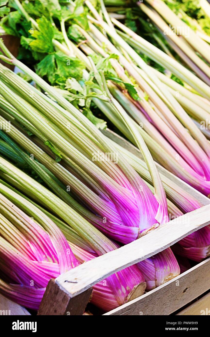 Celery in container hi-res stock photography and images - Alamy
