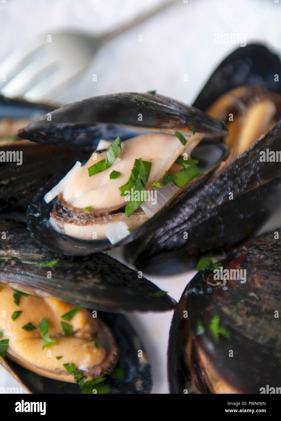 A close up of steamed mussels Stock Photo - Alamy
