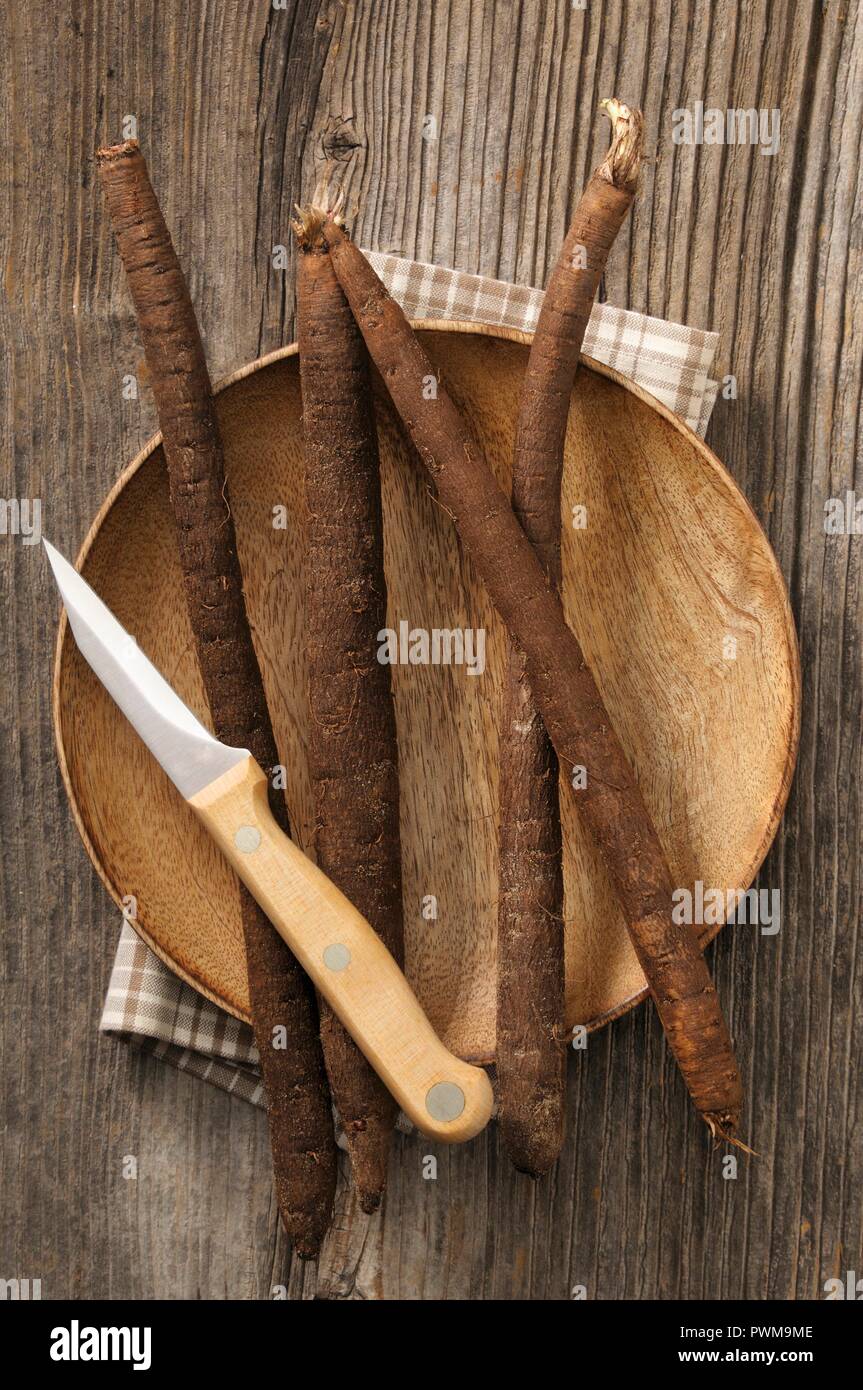 Black salsify hi-res stock photography and images - Alamy
