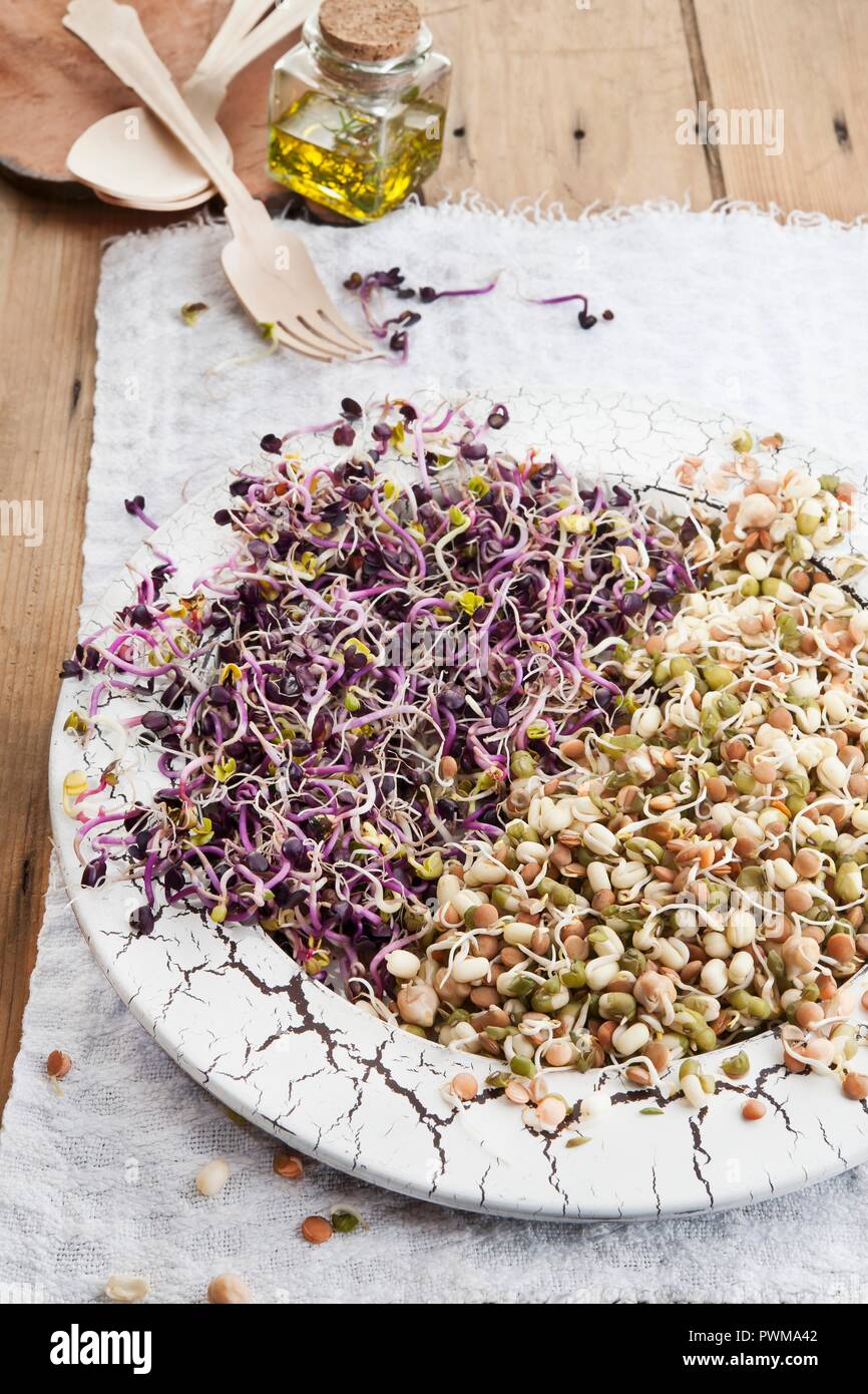 Various bean sprouts on a vintage plate Stock Photo - Alamy