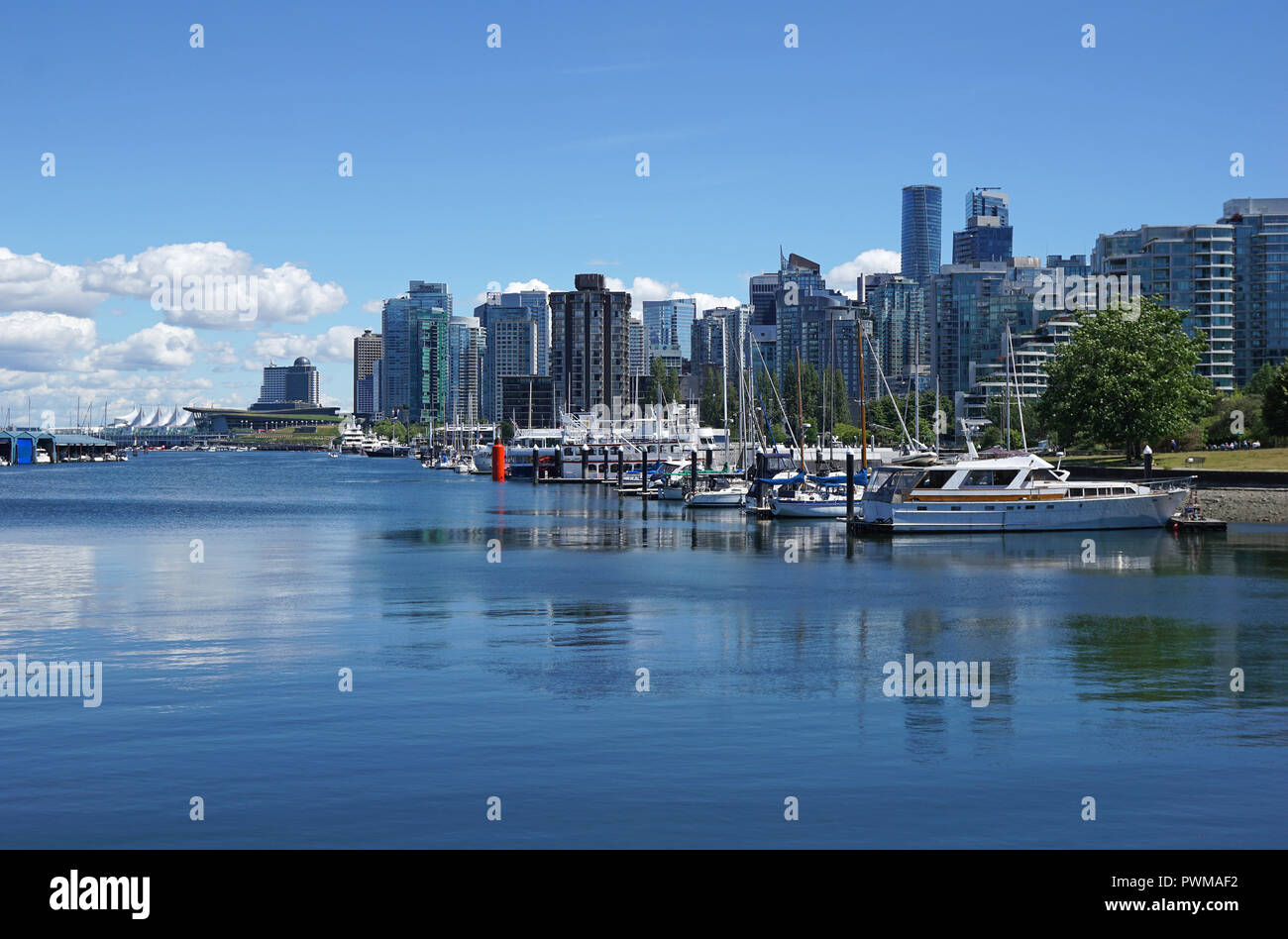 Coal Harbour seen from Stanley Park seawall, Vancouver, Canada Stock ...
