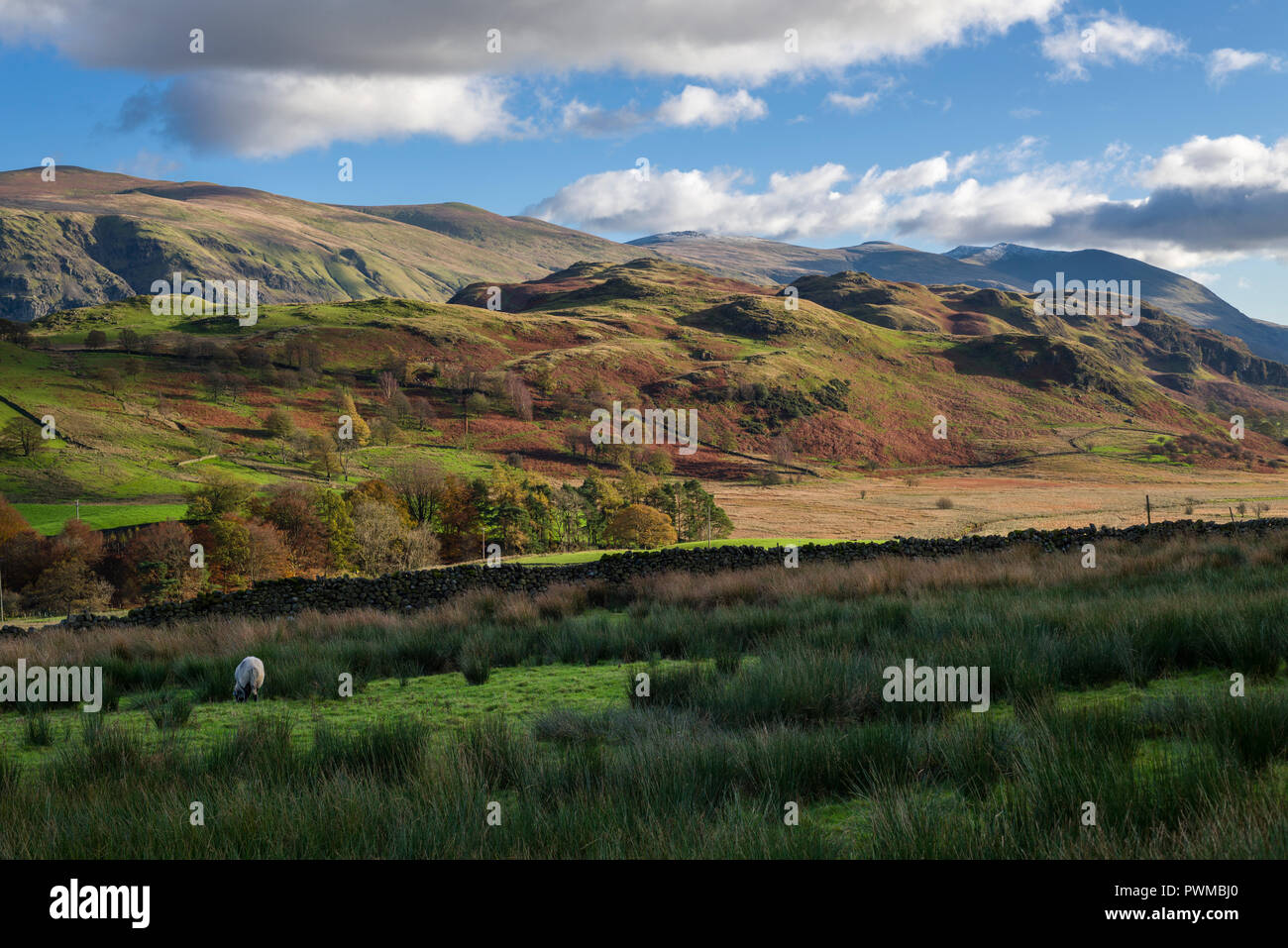 Matterdale lake district hi-res stock photography and images - Alamy