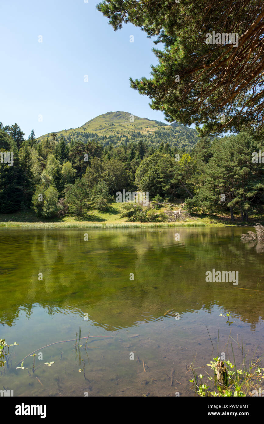 The bassa lake of oles in the Aran Valley, Spain Stock Photo - Alamy