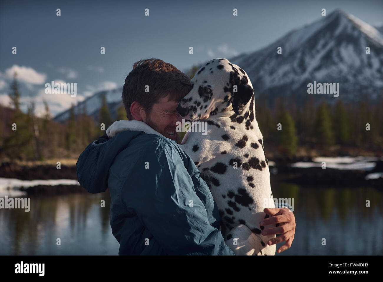 Adult Male Dalmatian Portrait High Resolution Stock Photography and ...