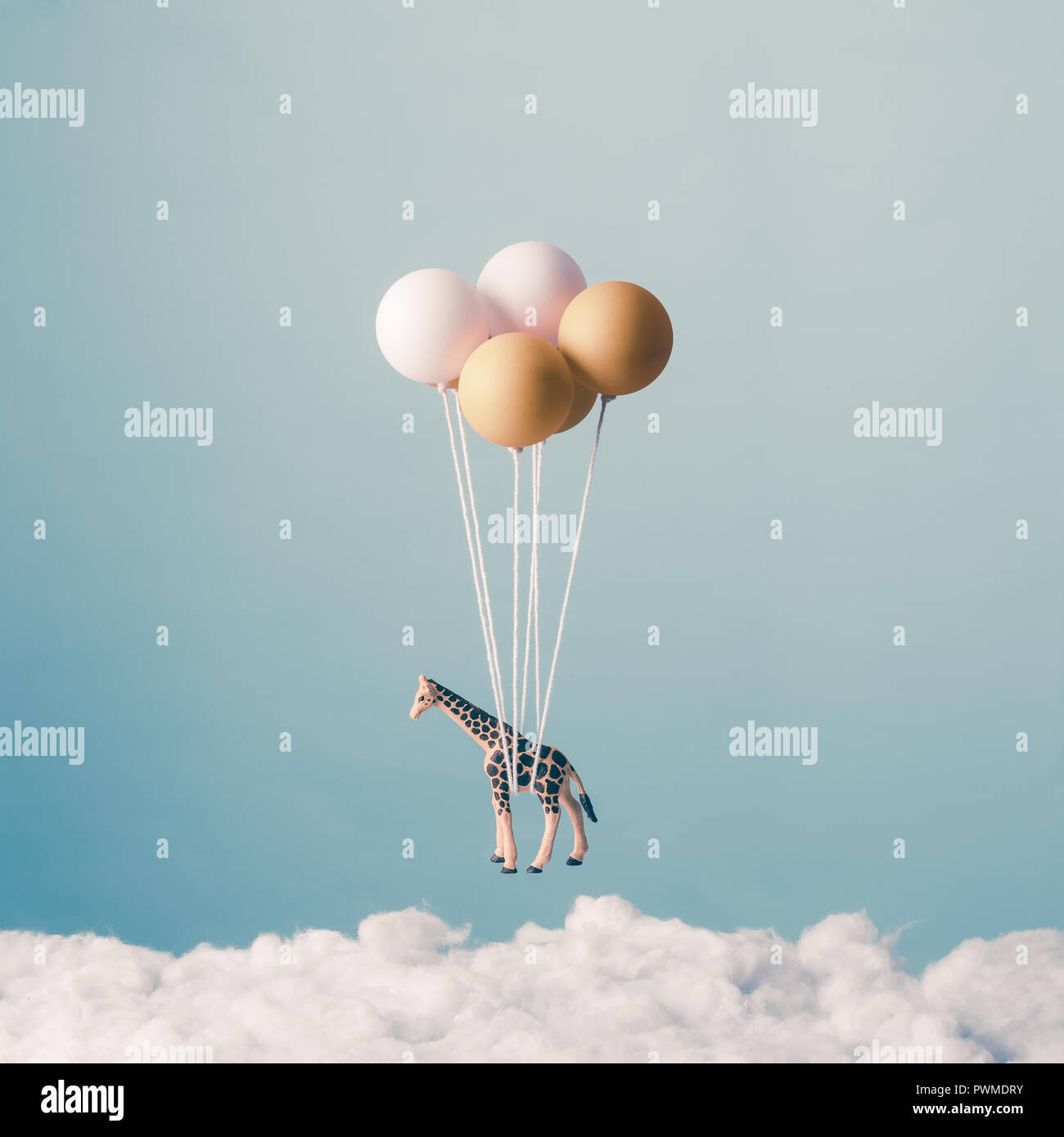 Flying above the clouds hi-res stock photography and images - Alamy