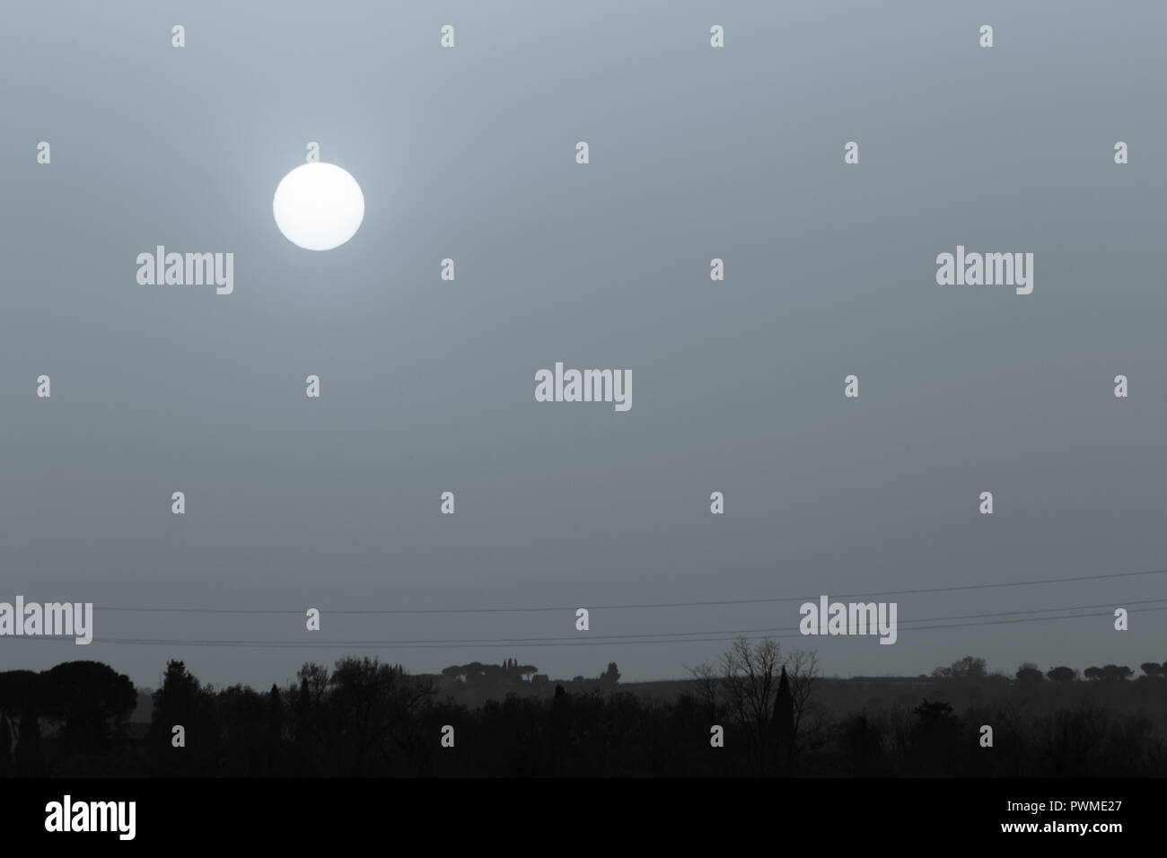 Sunset over trees silhouettes and power lines, filtered through a cold ...