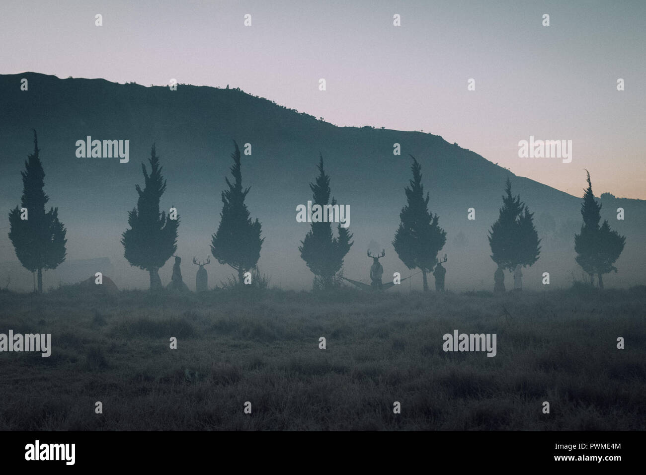 Human like tree hi-res stock photography and images - Alamy