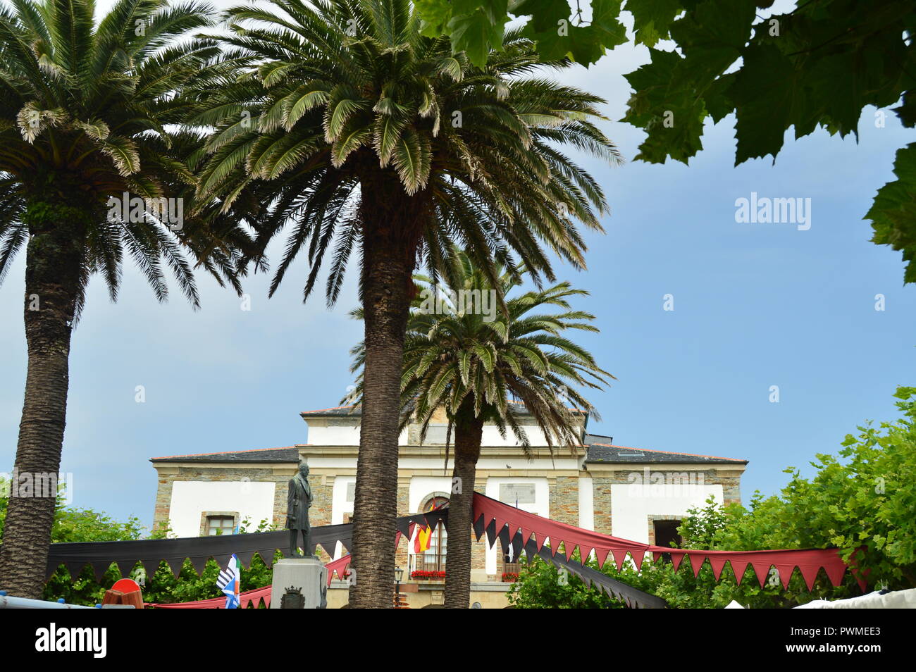 Tapia tree hi-res stock photography and images - Alamy