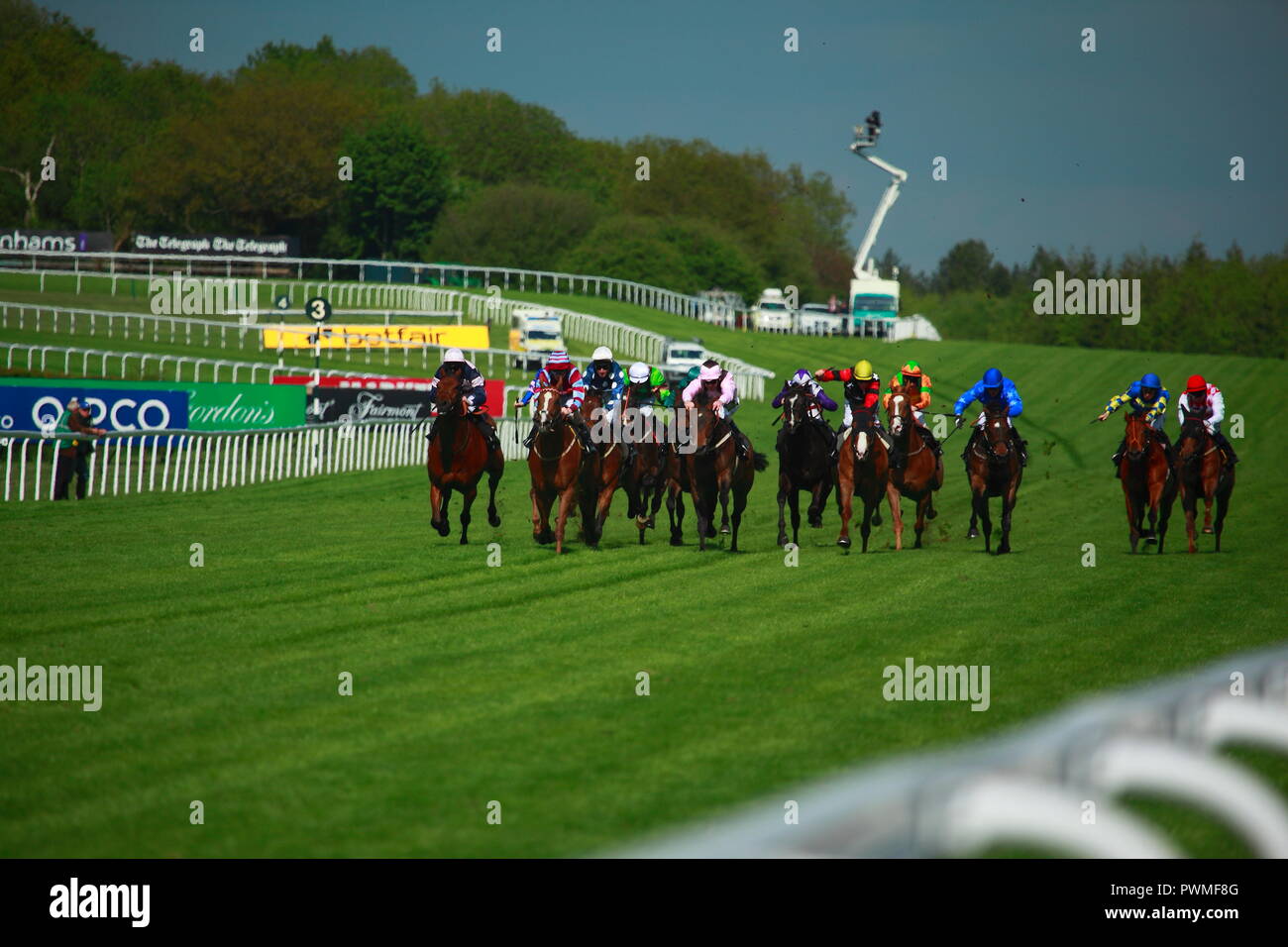 Goodwood racecourse hi-res stock photography and images - Alamy