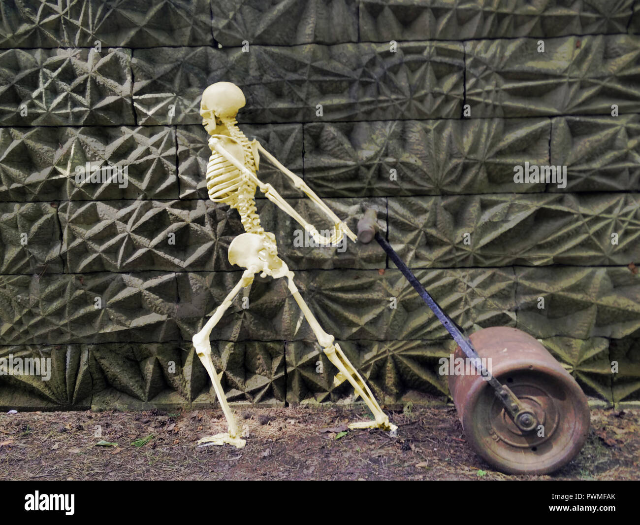A Skeleton Pulling a Garden Roller Stock Photo - Alamy