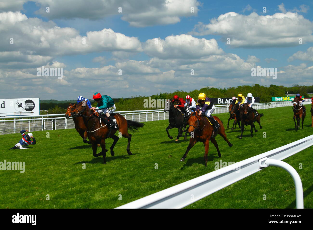 Goodwood racecourse hi-res stock photography and images - Alamy